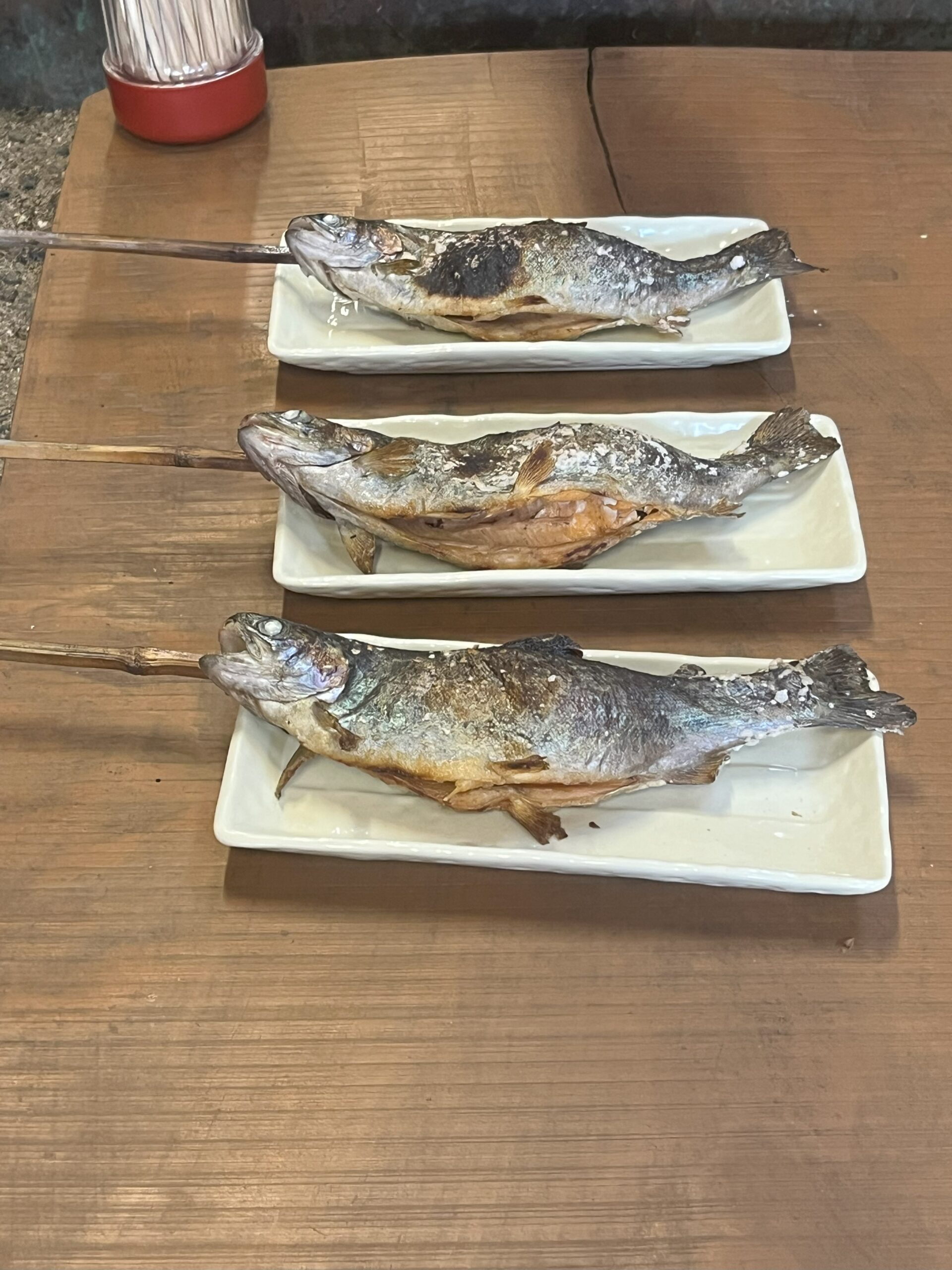 TENKARA Monitor Tour - NIKKO TENKARA