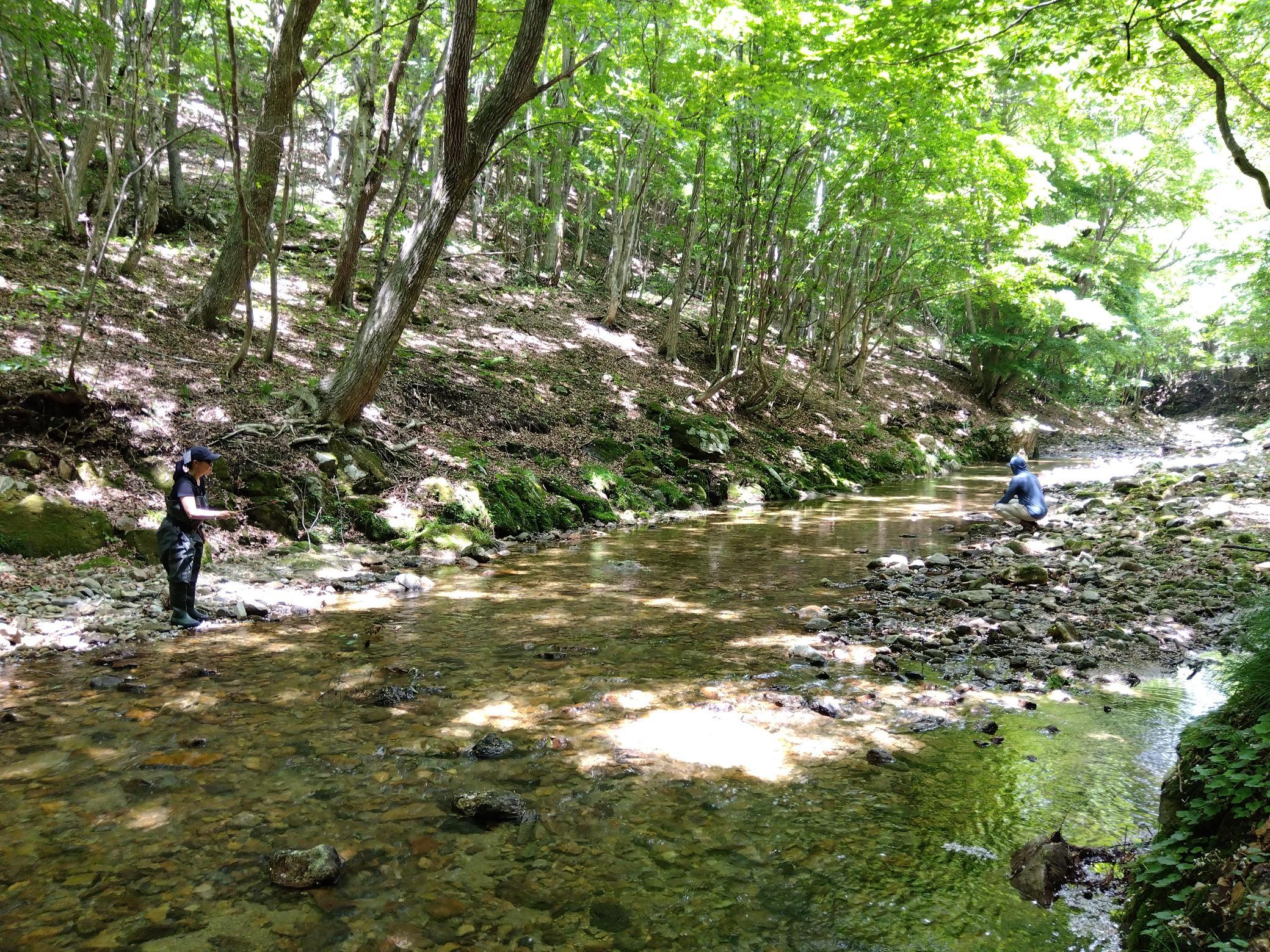 TENKARA Guide at Jun 6, 2025 - NIKKO TENKARA