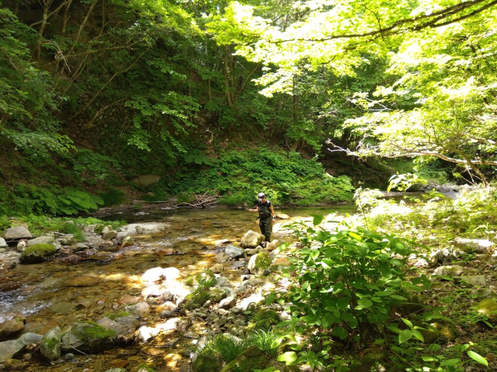 TENKARA Guide at Jun 6, 2025 - NIKKO TENKARA